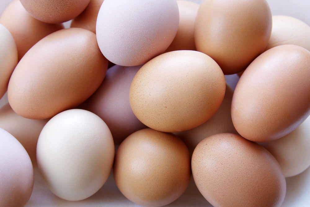 EggTrack | Compassion USA